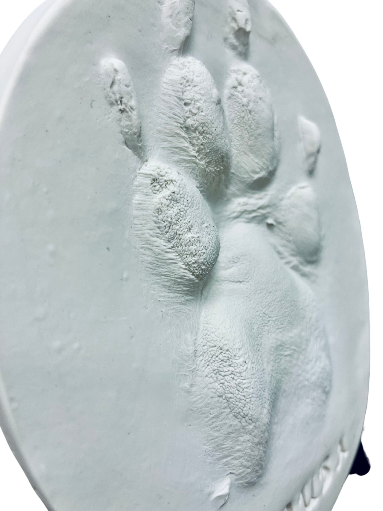 Aftercare and Keepsakes in Barrie, ON L4N 9A6 | Heart With Wings